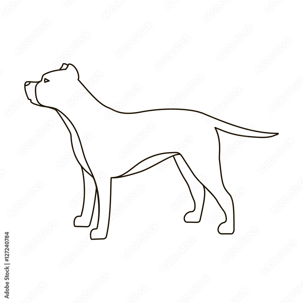 Pitbull icon in outline style isolated on white background. Dog breeds ...
