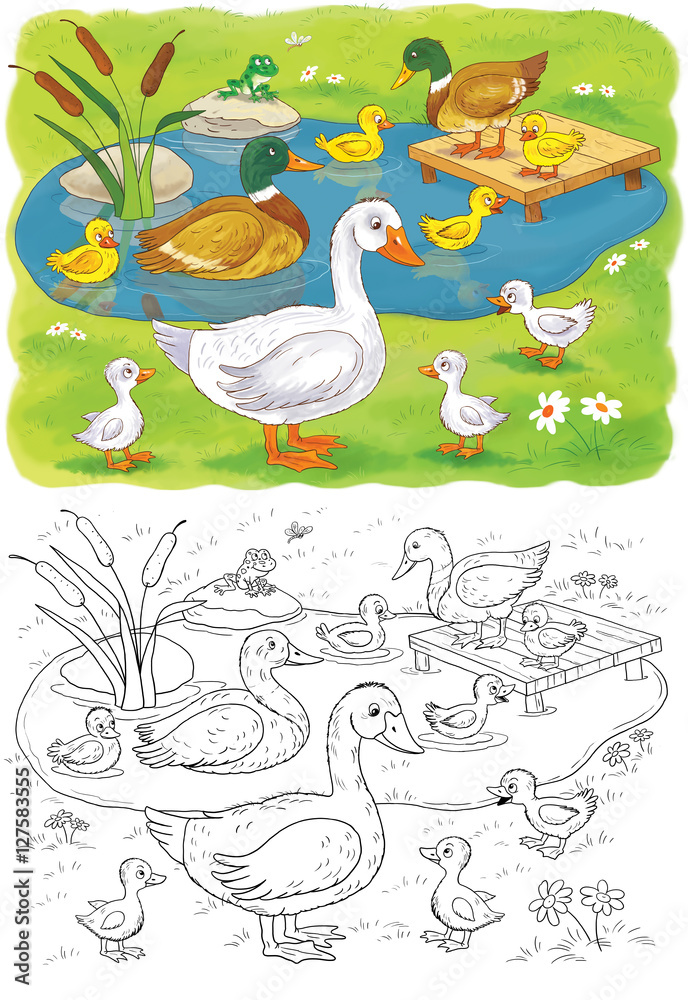 Cute farm animals. Cute goose, duck with ducklings. Coloring book ...