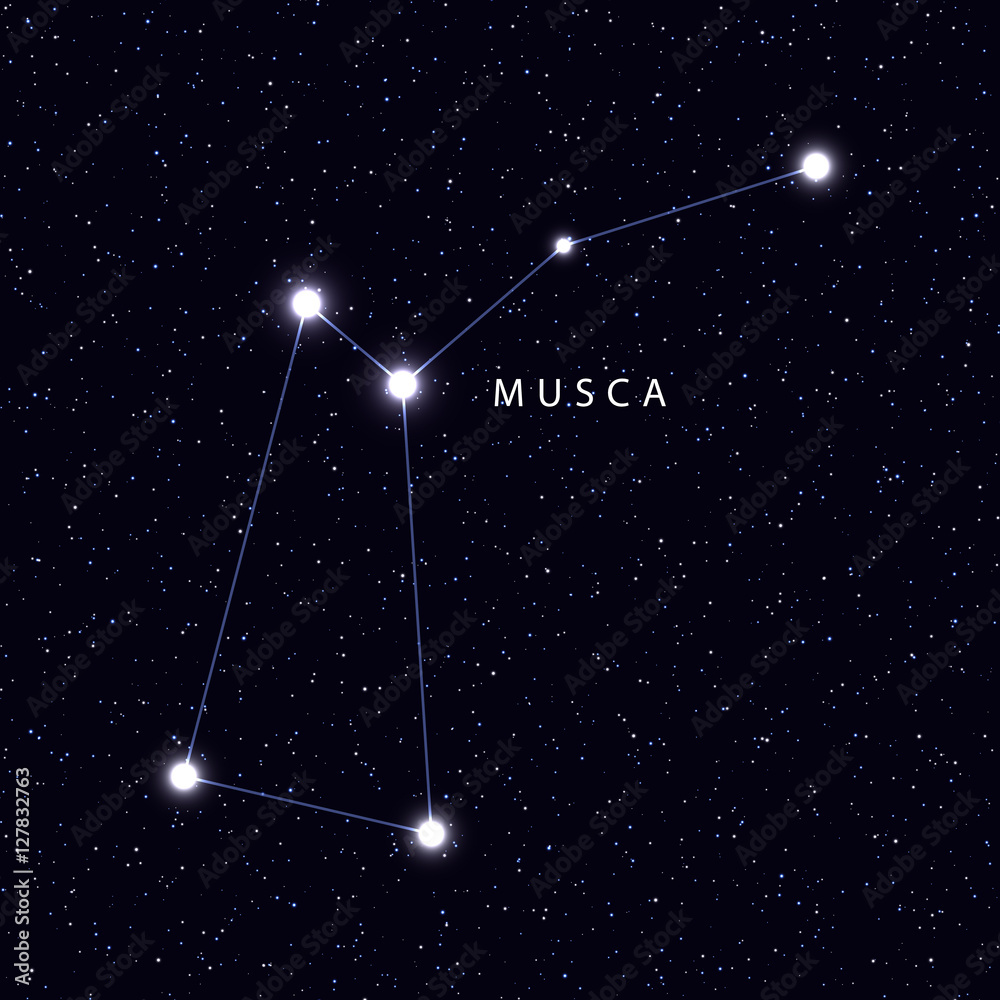 musca constellation