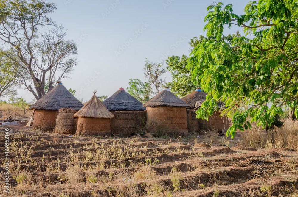 Traditional mud an clay housing of the Tata Somba tribe of nothern ...