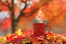 Autumn Cup Of Coffee Free Stock Photo - Public Domain Pictures