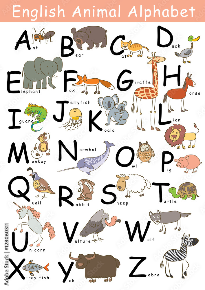 Image vectorielle Stock English Animal Alphabet from A to Z each ...