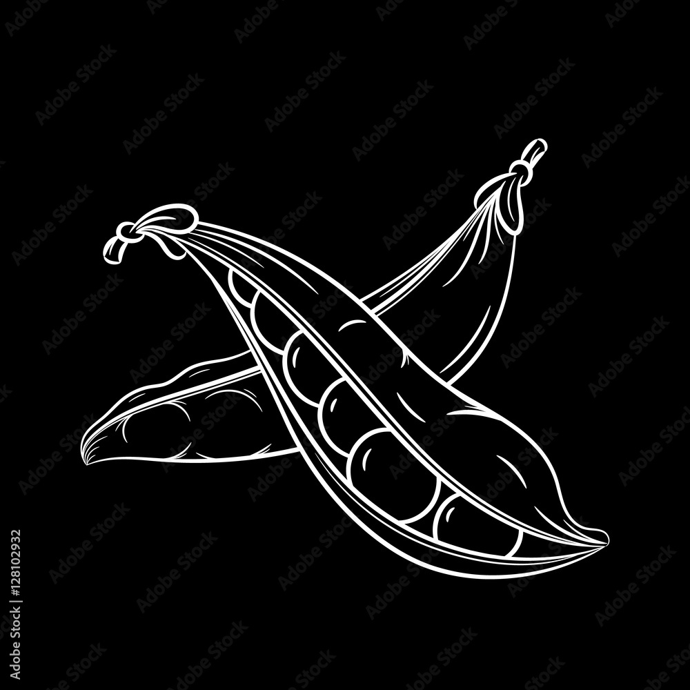 Hand drawn pea pods sketch. Vector illustration Stock Vector | Adobe Stock