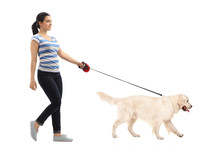 Woman & Dog Walking Free Stock Photo - Public Domain Pictures