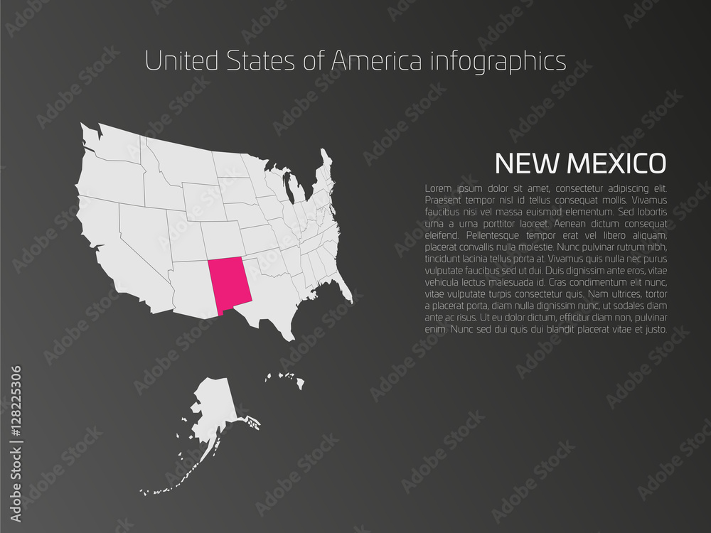 United States of America, aka USA or US, map infographics template. 3D ...