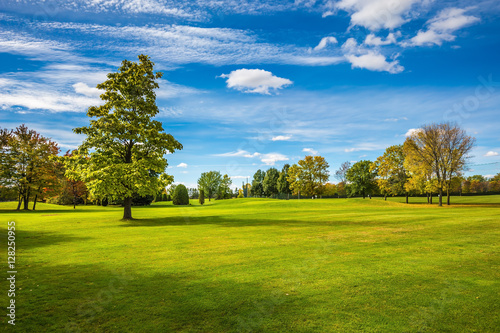 Grassy field in beautiful park Stock Photo | Adobe Stock