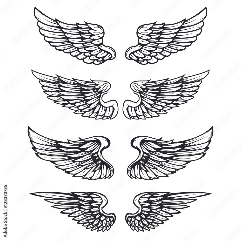 Set of vintage vector wings isolated on white background. Design ...