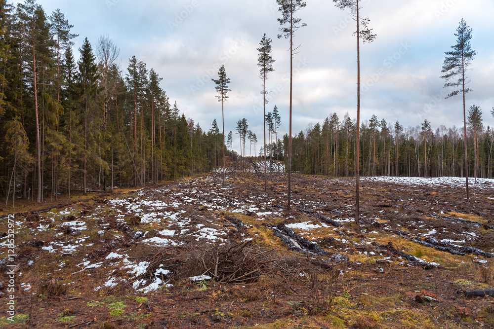 The reproduction of forests. Reforestation. Afforestation ...