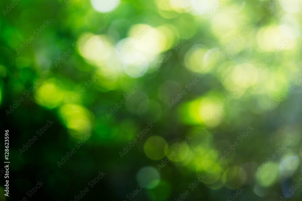 Nature green bokeh background Stock Photo | Adobe Stock