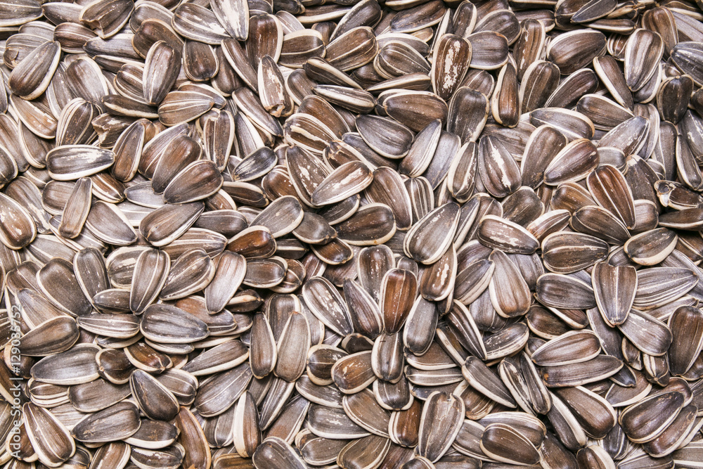 sunflower seeds background, texture Stock Photo | Adobe Stock