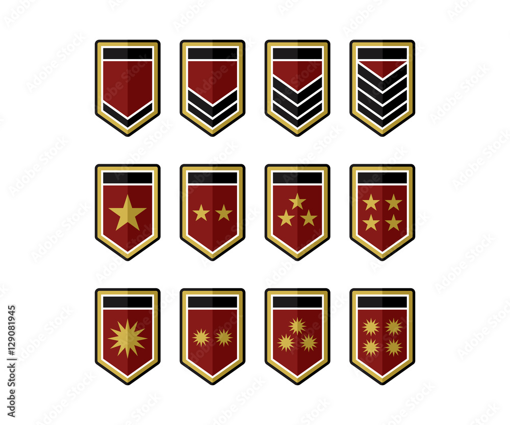 Shield Army Epaulets, Military Ranks and Insignia with Effect Stock ...