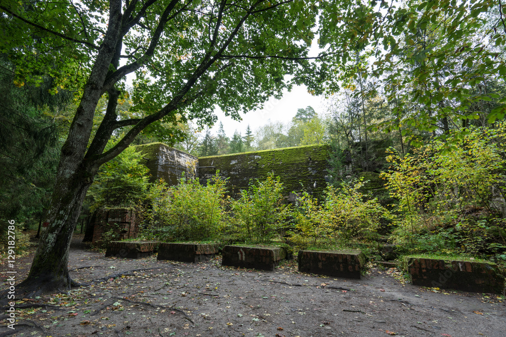Wolf's Lair, Adolf Hitler's Bunker in Poland. First Eastern Front ...