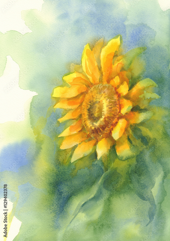 sunflower on green background watercolor Stock Illustration | Adobe Stock