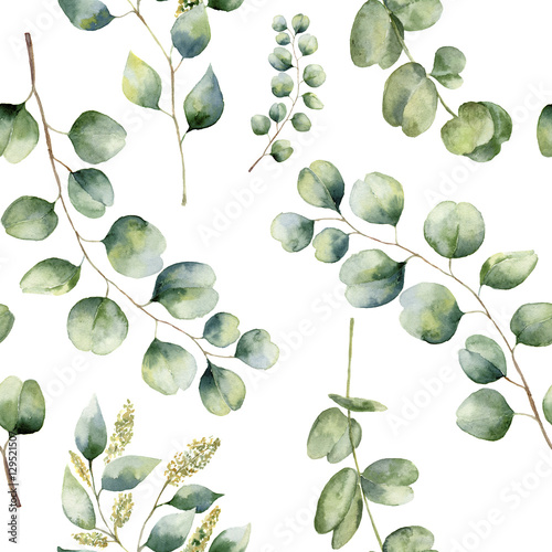 Watercolor floral pattern with eucalyptus leaves. Hand painted pattern ...