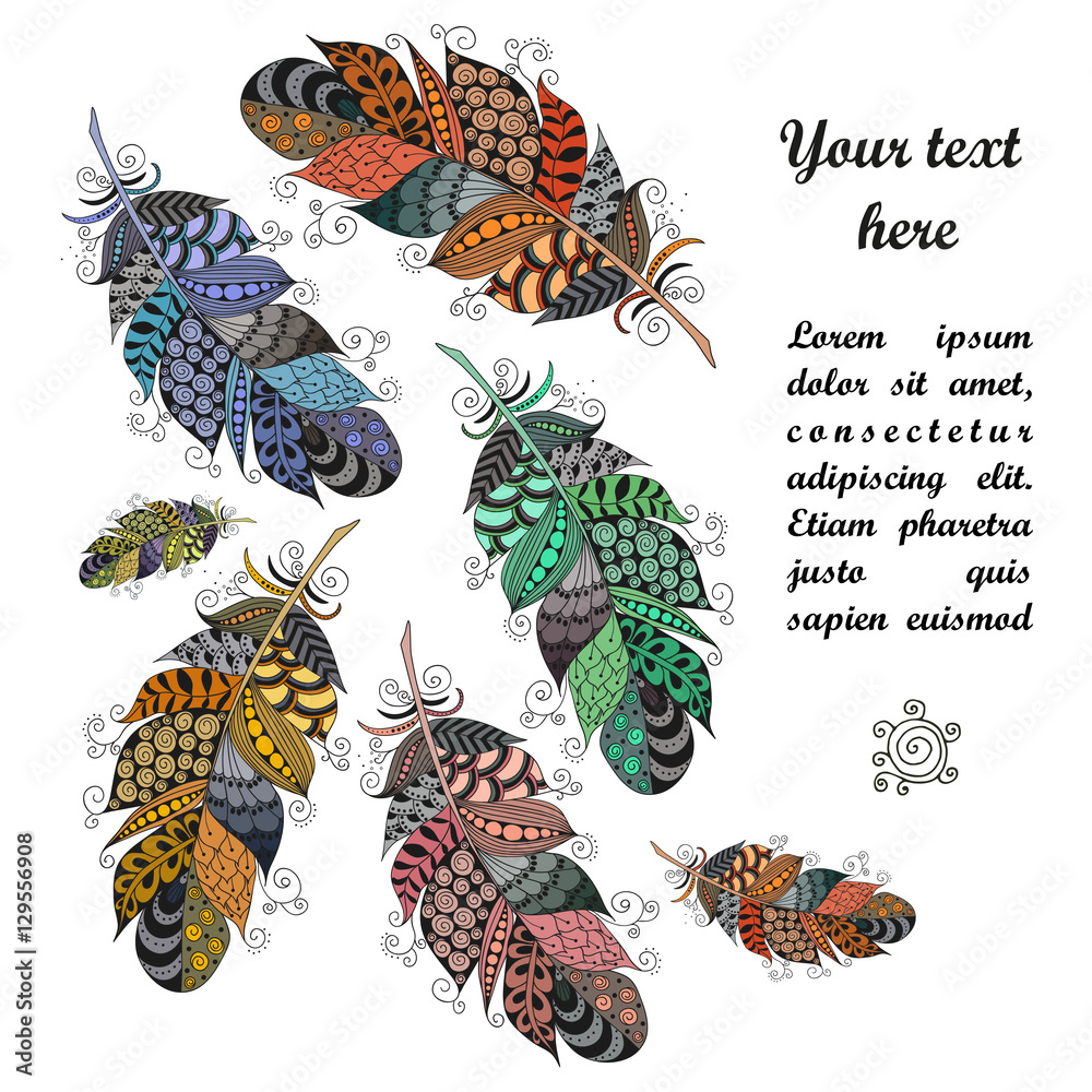 Hand drawn zentangle feathers on white background Stock Vector | Adobe ...