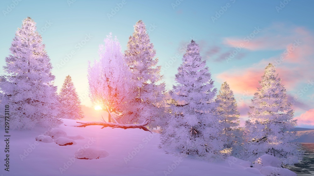 Calm winter landscape with snow covered fir tree forest at scenic ...