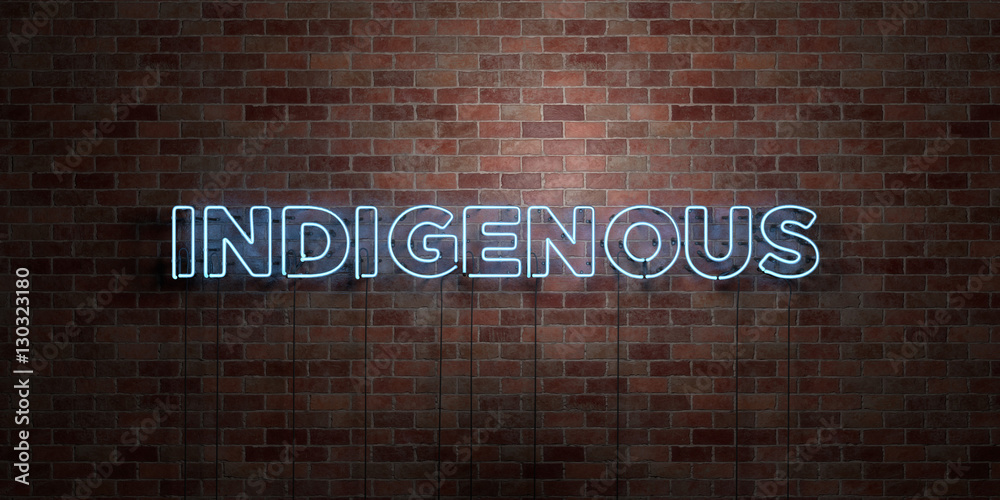 INDIGENOUS - fluorescent Neon tube Sign on brickwork - Front view - 3D ...