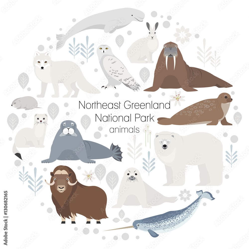 Polar animals. Vector collection of animals .Polar bear,narwal, whale ...