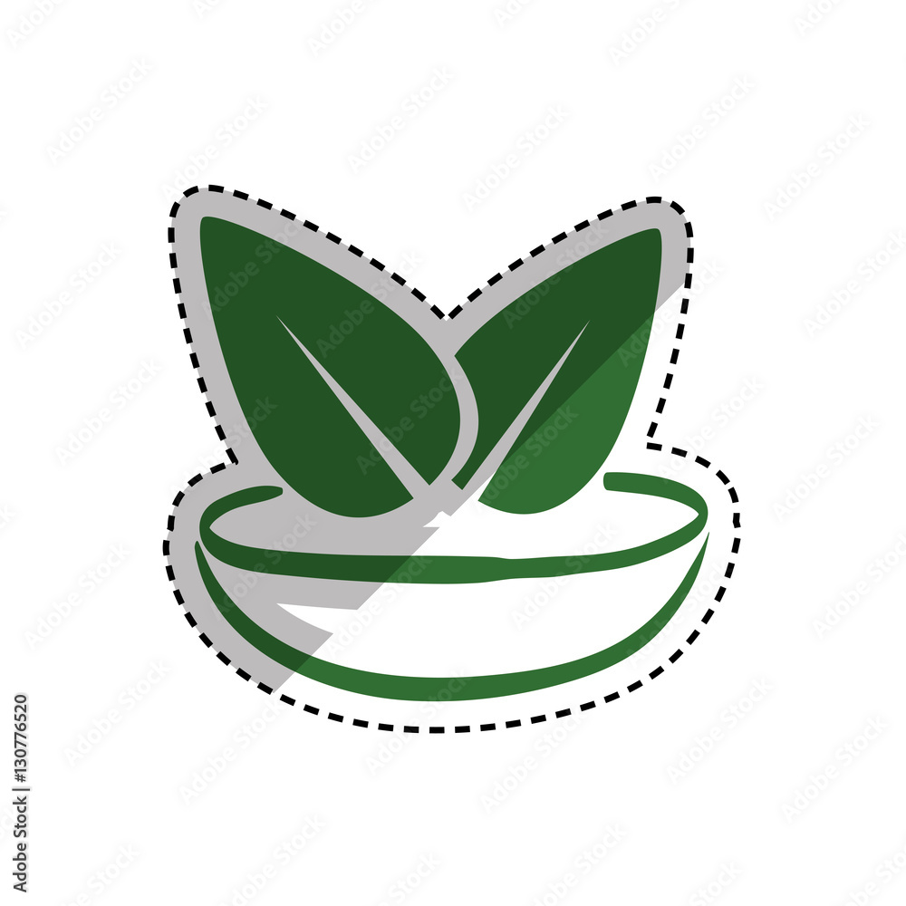 Isolated natural leaves Design Vector illustration, white background ...