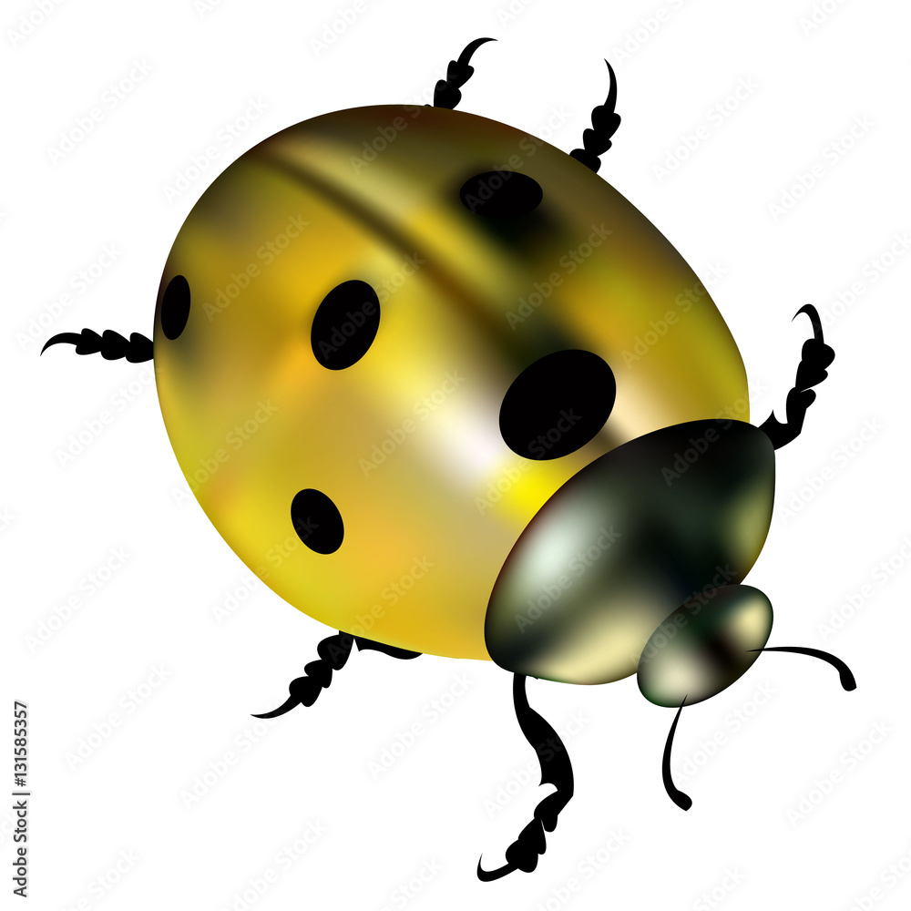 ladybug vector red illustration colored beetle insect Stock Vector ...