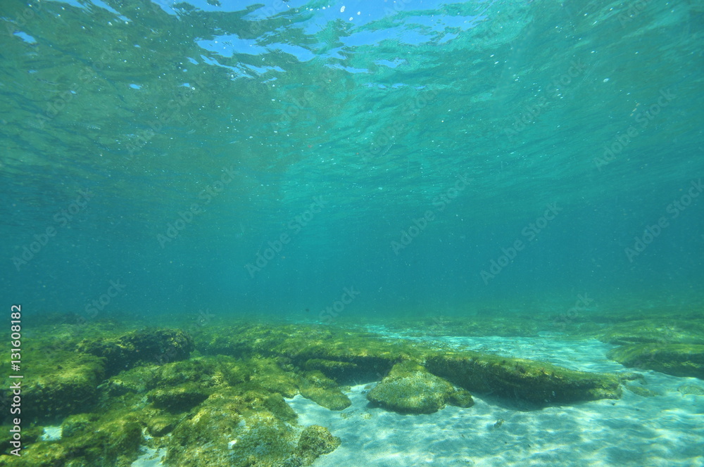 Stock-Foto „Flat sea bottom with areas of sand and flat rocks covered ...