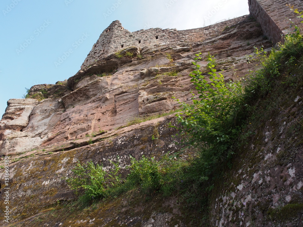 Stock-Foto „Chateau Fort de Fleckenstein (Burg Fleckenstein)“ | Adobe Stock