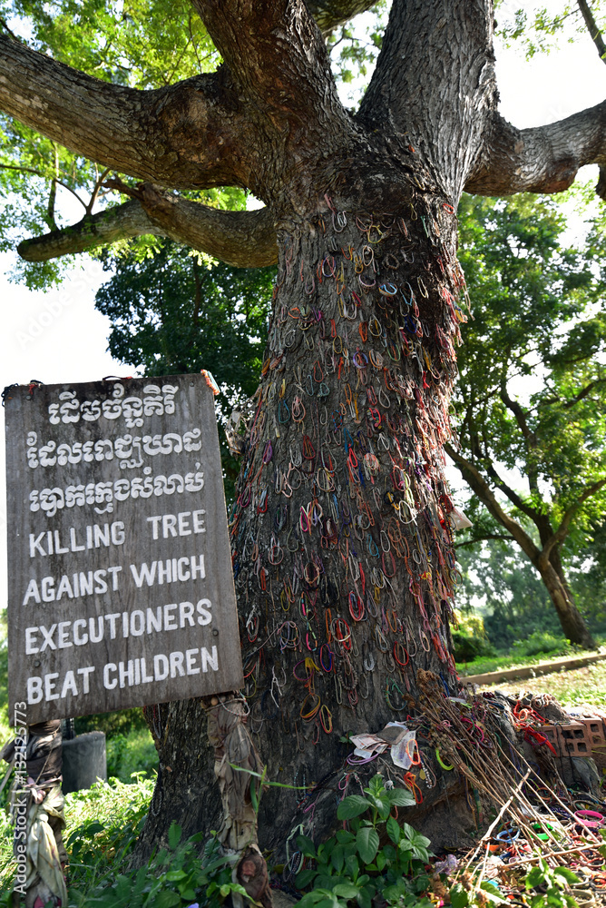 A Chankiri tree or Killing tree used to kill babies is on display at ...