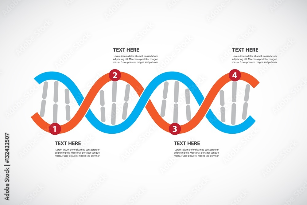 DNA timeline. Process template. Vector infographics. Stock Vector ...