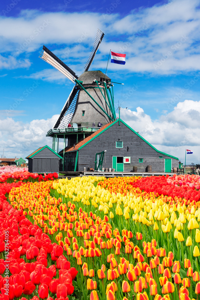 Traditional windmill store