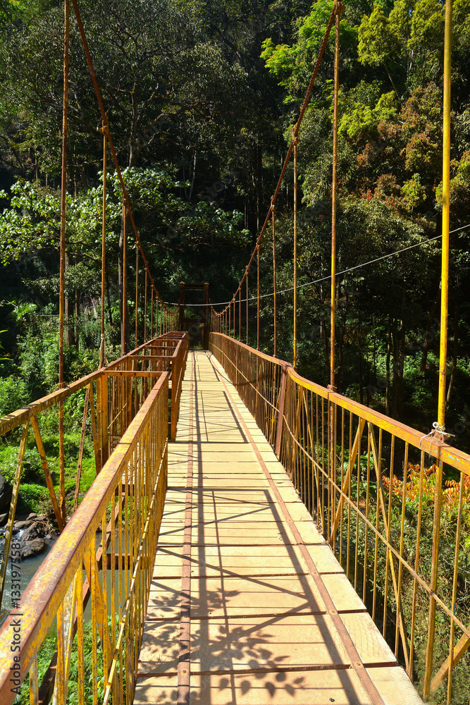 Iron bridge across Cauvery river in Coorg, Karnataka, India. Stock ...