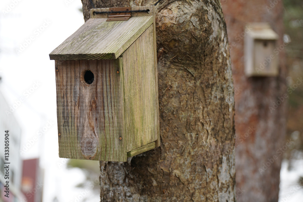 Bird house at Genbikei. Genbikei is a ravine or river gorge that has ...