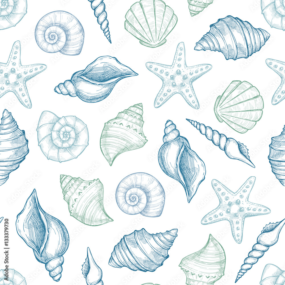 Hand drawn vector illustrations - seamless pattern of seashells. Marine ...