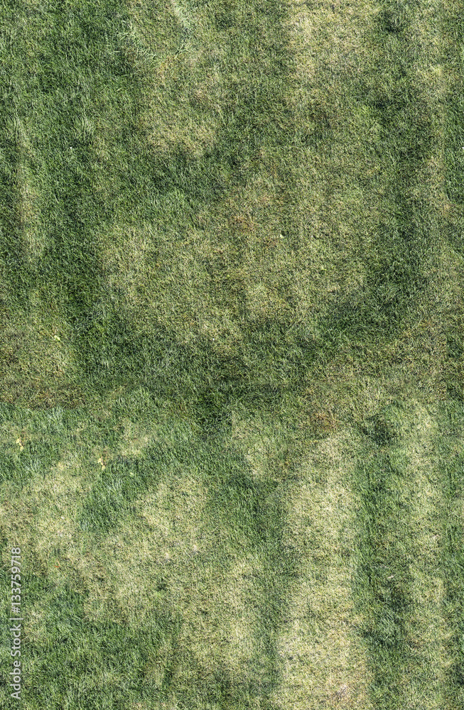 lawn grass, seamless texture, pavement, tile horizontal and vertical ...