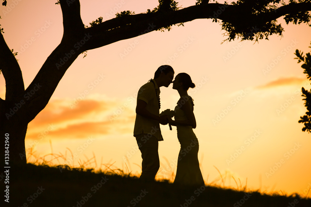 Just married couple kissing under a tree at sunset. Stock Photo | Adobe ...