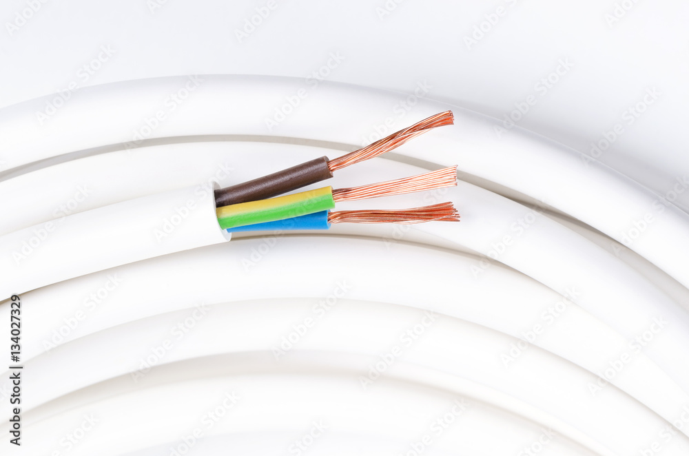 Electrical cable with three insulated conductors. Horizontal. Power ...