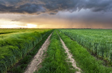 Storm Clouds Over Country Field Free Stock Photo - Public Domain Pictures
