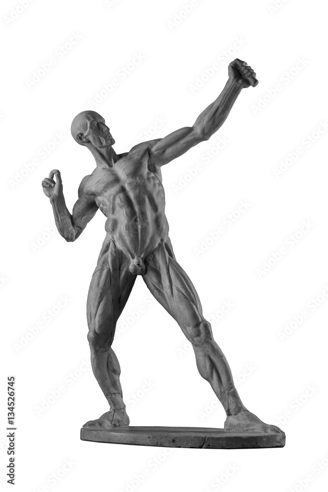 plaster statue of a naked anatomical human figure with muscles in a ...