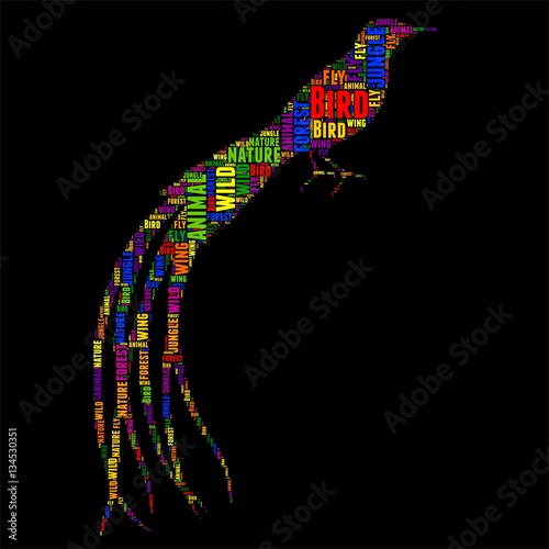 Bird Typography word cloud colorful Vector illustration - Buy this ...
