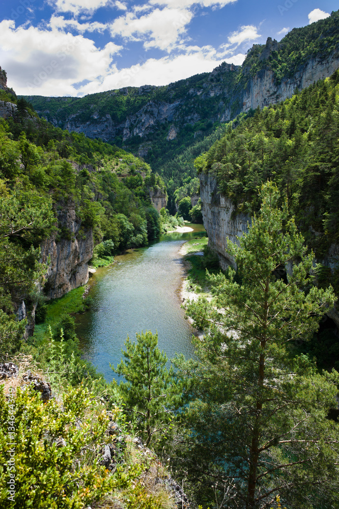 Gorges du Tarn, canyon in the South of France Stock Photo | Adobe Stock