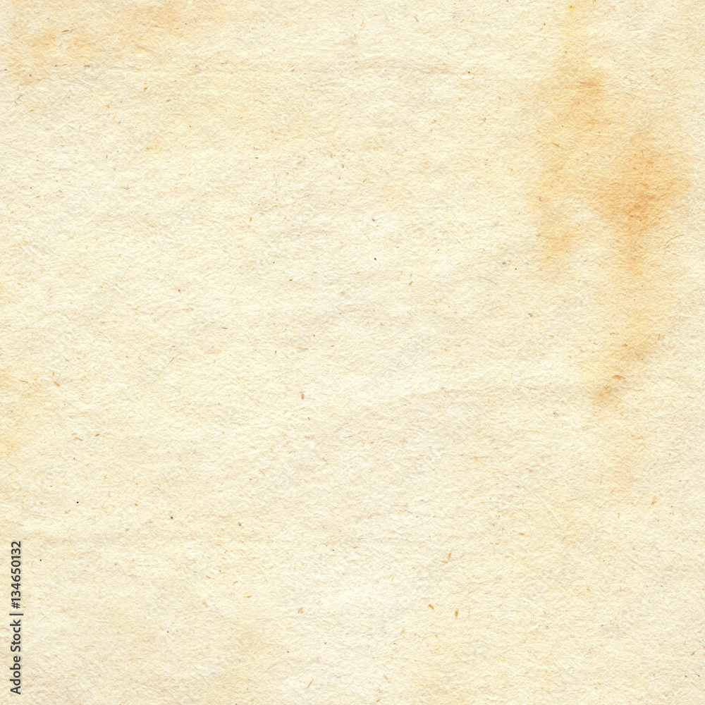 Old Paper texture background. Vintage page in antique book Stock Photo ...