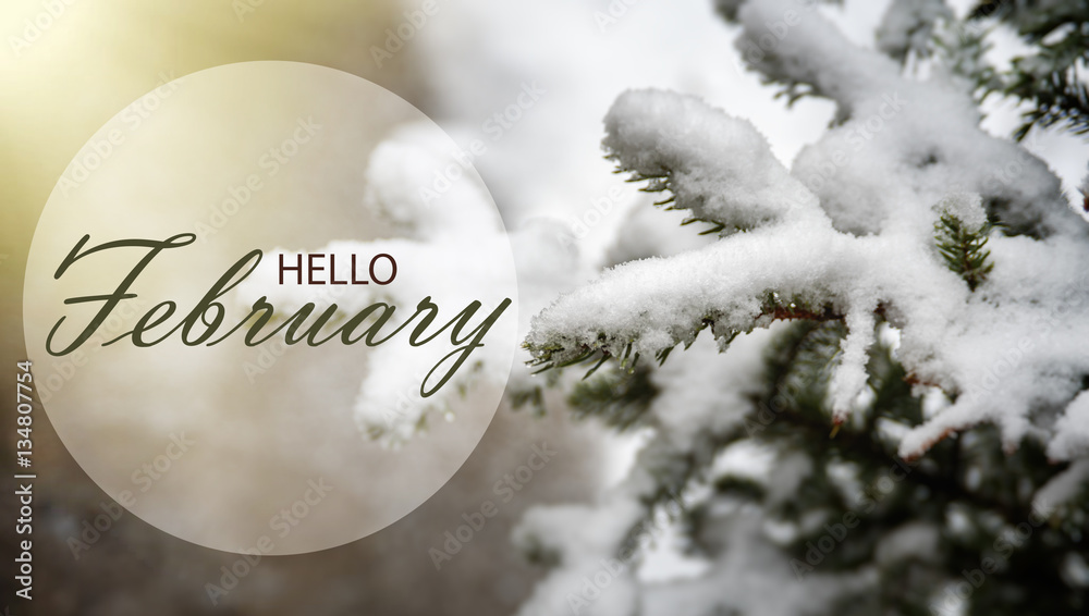 Hello February wallpaper. fir tree covered with melting snow. Stock ...