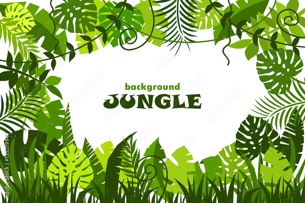 decorative tropical jungle background. vector illustration Stock Vector ...