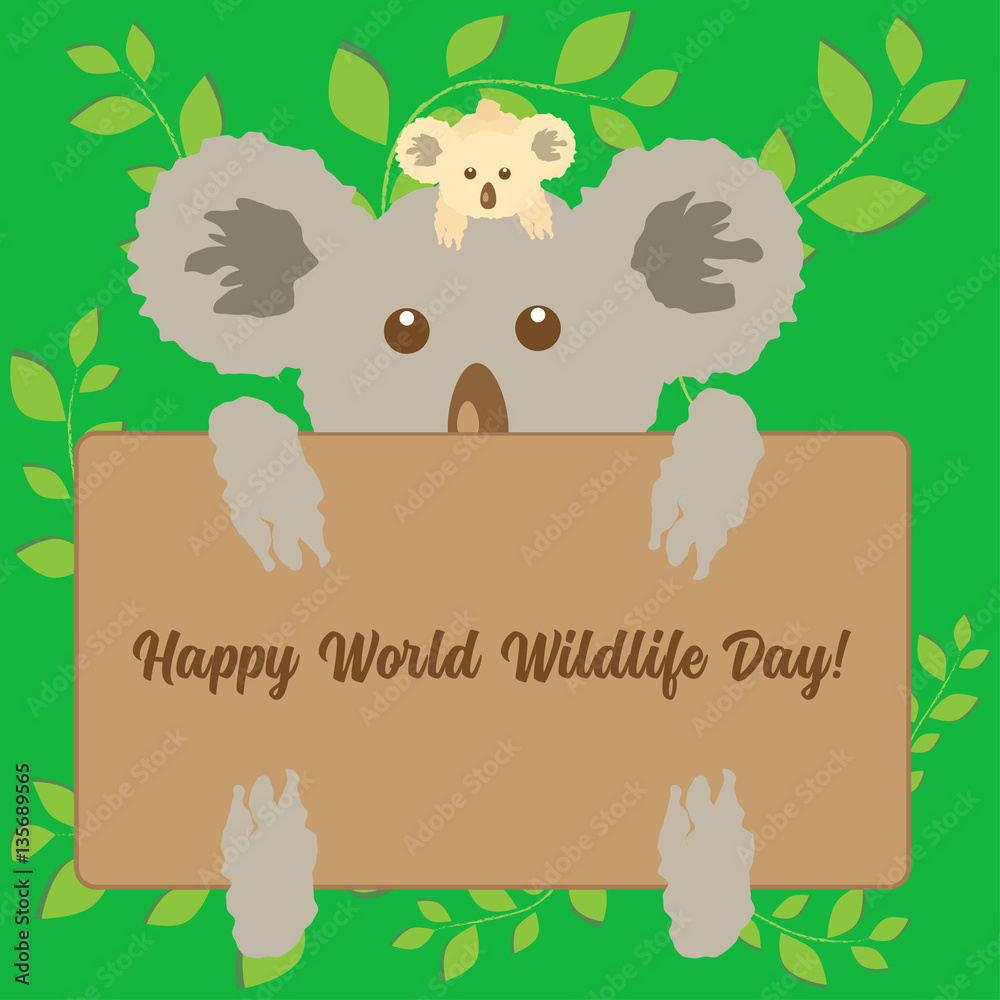 Cute koalas holding message board on abstract green floral background ...
