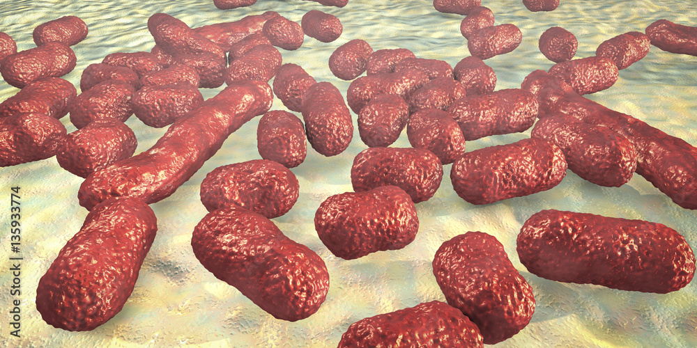 Ilustración de Stock Bacterium Acinetobacter baumannii, multidrug ...