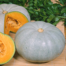 Grey Pumpkin Free Stock Photo - Public Domain Pictures