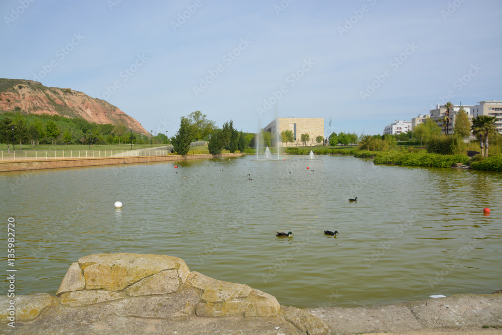 estanque con patos en un parque de Logroño Stock Photo | Adobe Stock
