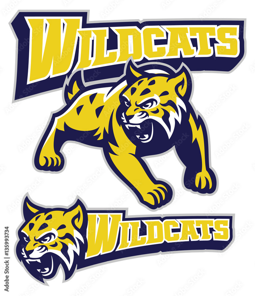 angry wildcat mascot Stock Vector | Adobe Stock