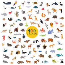 Set Of 4 Animals Free Stock Photo Public Domain Pictures Set Of 4 Animals Free Stock Photo Public Domain Pictures