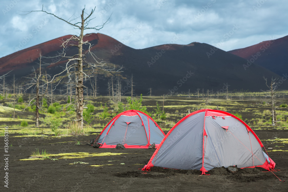 Tourist tent in Dead wood - consequence of catastrophic release of ash ...