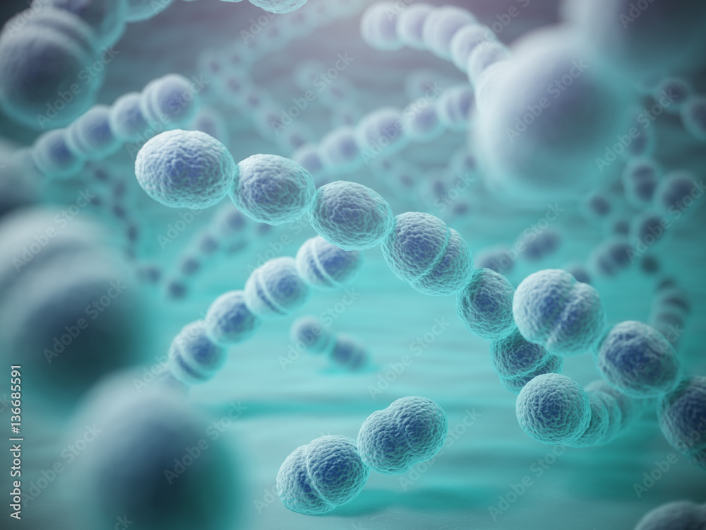 Streptococcus pneumoniae or pneumococcus bacterias Stock Illustration ...